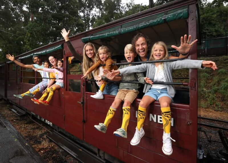 Yering Winery, LV Chandon Winery, Puffing Billy Steam Train - An Overview of the Tour Experience