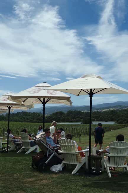 Yering Winery, LV Chandon Winery, Puffing Billy Steam Train - Visiting the Wineries: Yering and LV Chandon