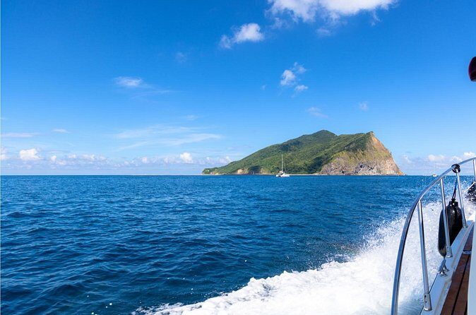 Yilan Day Tour Whale Watching Cruise and Animal Farm - The Sum Up