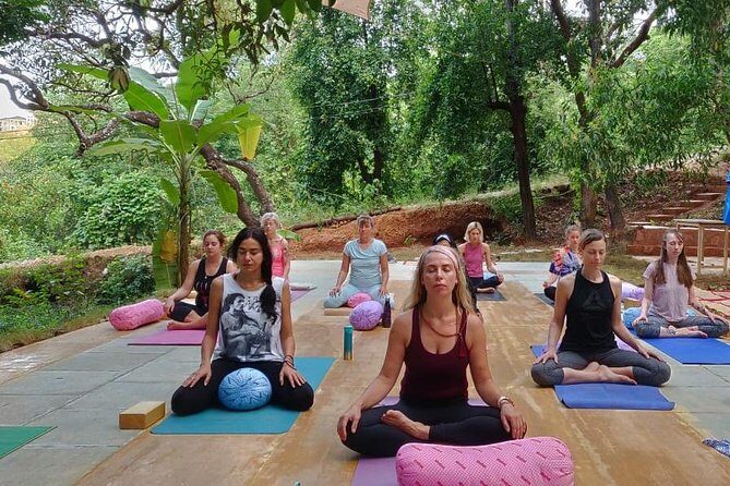 Yin Yoga Therapy Training - 200 Hours (Yoga Alliance) - The Experience: Authenticity Meets Comfort