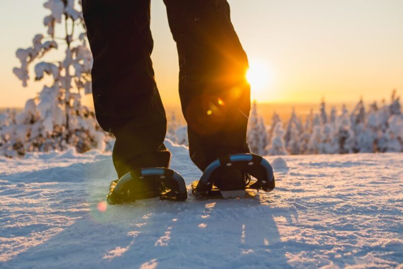 Ylläs: Forest Hike with Snowshoes - Exploring Ylläs Forest with Snowshoes: What to Expect