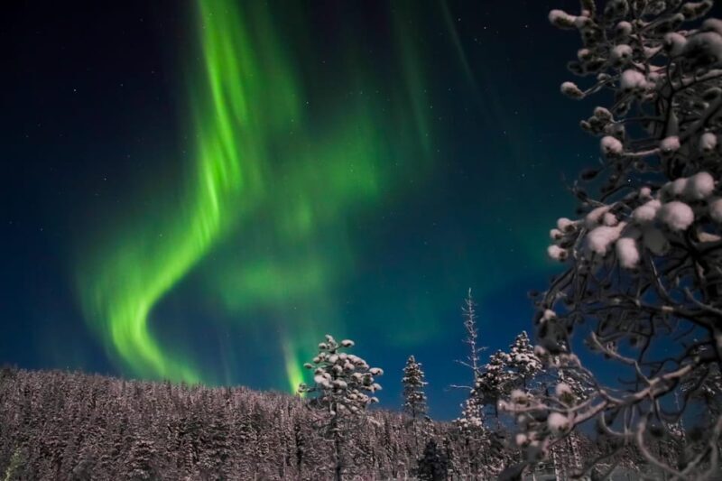 Ylläs: Seeking Northern Lights Photo Tour - What This Tour Is About: A Balanced Look