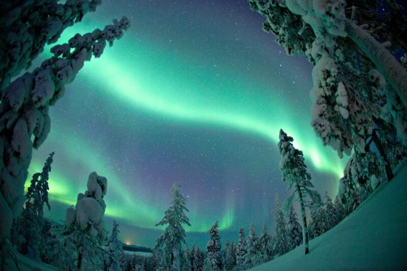 Ylläs: Seeking Northern Lights Photo Tour - Authentic Perspectives from Travelers