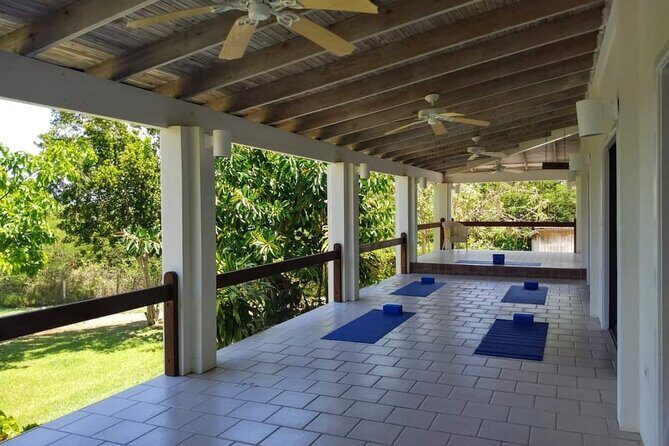 Yoga and Meditation, Group or Private Sessions in Nevis - Key Points