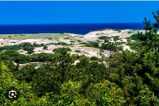 Yoga and National Seashore with guided Hike Tour - The Beech Forest and Guided Hike