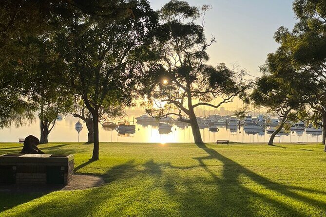 Yoga Experience in Perth - What Reviewers Say