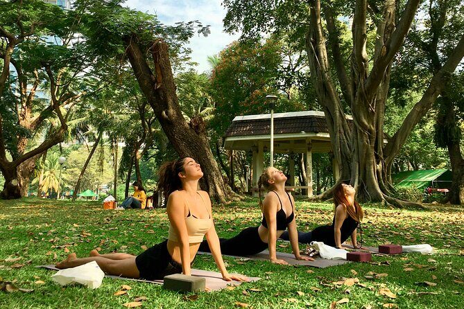 Yoga in the Park Thailand - What to Expect: A Morning of Calm and Connection