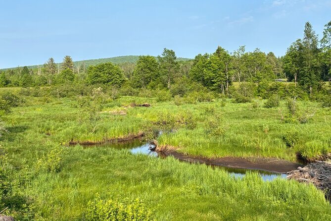 Yoga on the Farm in the Adirondacks - FAQ About Yoga on the Farm in the Adirondacks