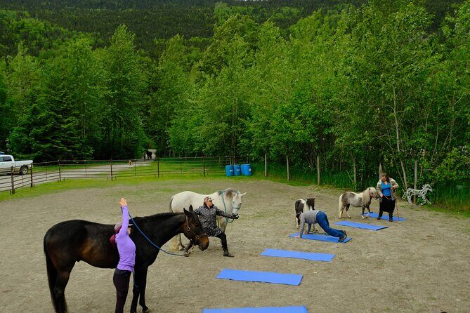 Yoga with Horses - Yoga with Horses: A Gentle Escape to Find Your Calm in Skagway