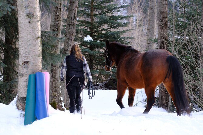 Yoga with Horses - Final Thoughts