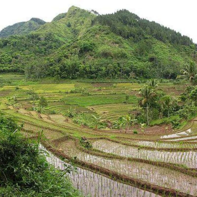 Yogyakarta: 3 Days Exclusive Highlights Tour - The Real Value for Travelers