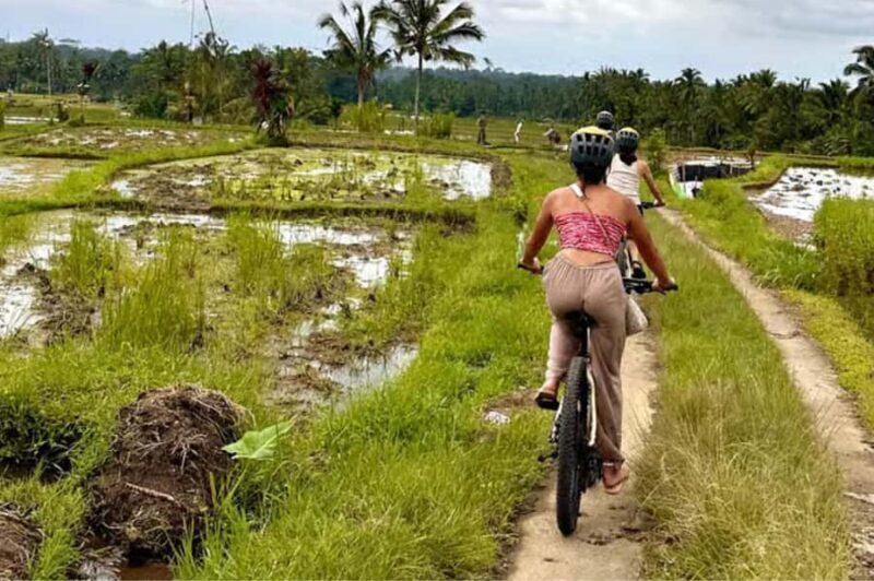 Yogyakarta: 3-Hour Bike Tour Through Villages with Transfers - Key Points