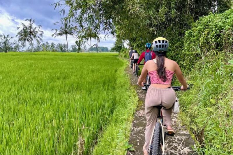 Yogyakarta: 3-Hour Bike Tour Through Villages with Transfers - Practical Tips for Booking and Enjoying the Tour