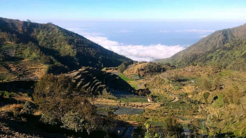Yogyakarta: 5-Day Dieng Plateau Tour with Jeep Ride - Key Points