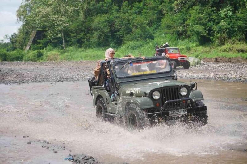 Yogyakarta: Borobudur, Bromo, & Ijen Tour to Bali - Who Should Consider This Tour?