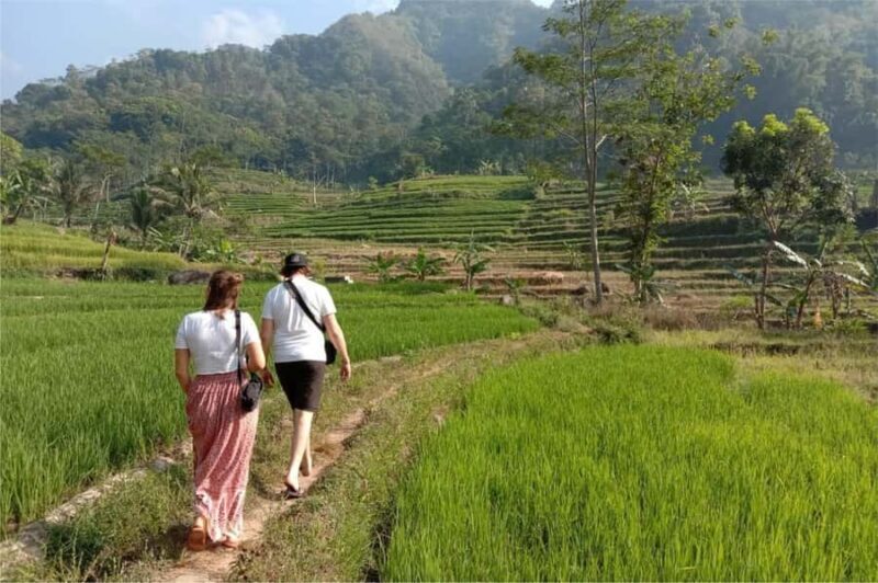 Yogyakarta: Borobudur Climb-up & Selogriyo Paddy Field Tour - FAQs