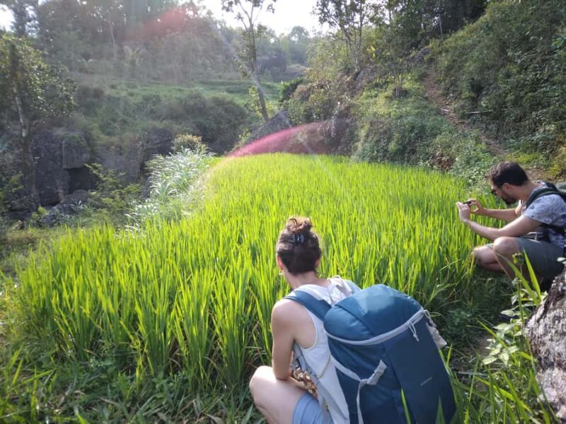 Yogyakarta: Borobudur Temple and Selogriyo Rice Terrace Tour - The Value of This Tour