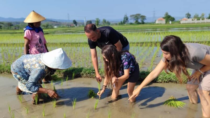 Yogyakarta: Countryside Bike & Bite Tour With Pickup - The Real Value of the Experience