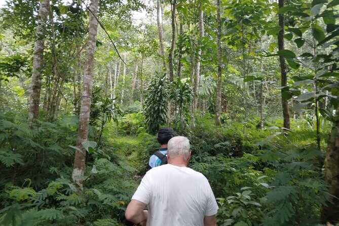 Yogyakarta Countryside Walking Tour - Who Should Consider This Tour?