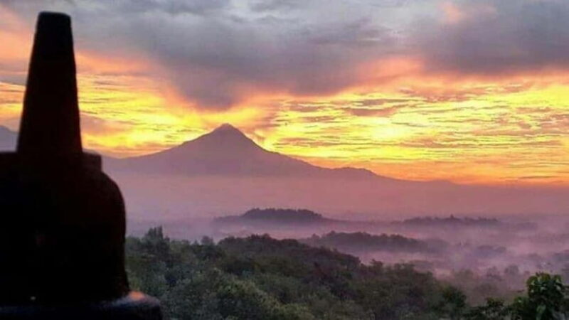 YOGYAKARTA: DIENG PLATEAU NATURE TOURISM AND TEA PLANTATION. - Who Will Love This Tour?