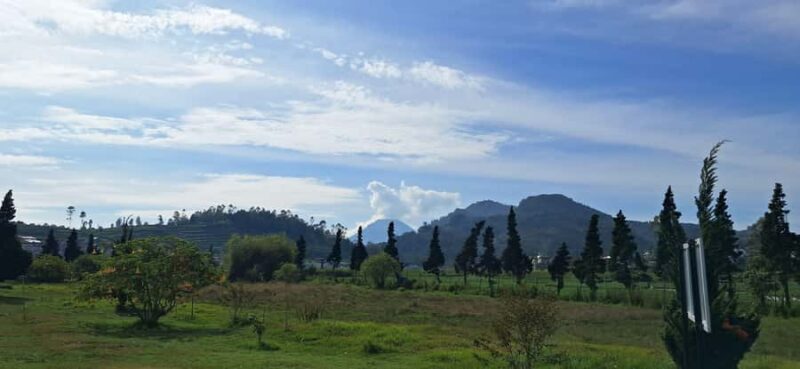 Yogyakarta : Dieng Plateau Tour (Natural Beauty of Java) - Who Should Consider This Tour?