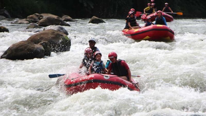 Yogyakarta: Elo White Water Rafting with 12KM Distance - The Sum Up