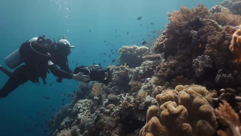 Yogyakarta: Goa Pindul, Nglambor Beach, & Sand Dunes Tour - Exploring Yogyakarta’s Natural Treasures