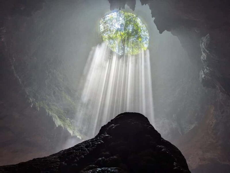 Yogyakarta: Jomblang Cave and Pindul Cave Adventure Day tour - What Travelers Say