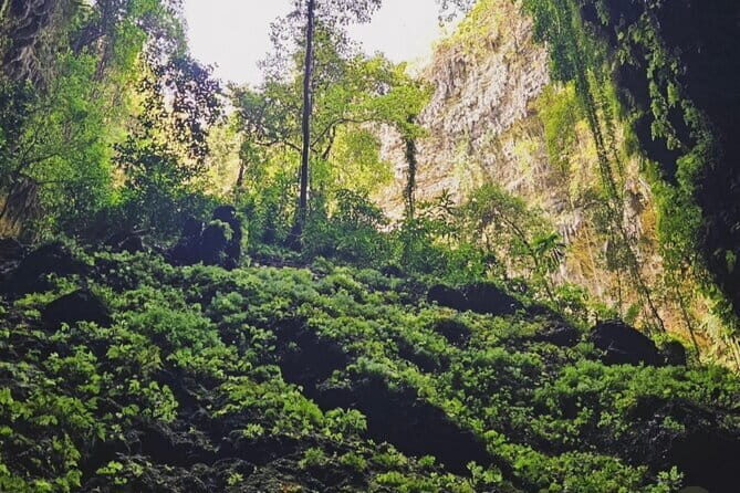 Yogyakarta Jomblang Cave and Pindul Cave Tour - The Itinerary: Step-by-Step Overview