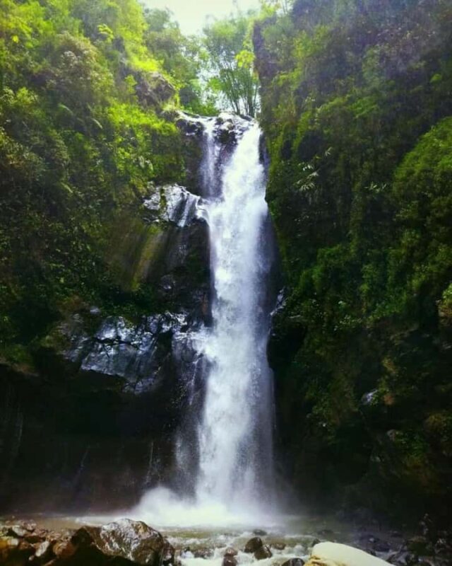 YOGYAKARTA; KEDUNG KAYANG WATERFALL AND SELOGRIYO TEMPLE. - Key Points