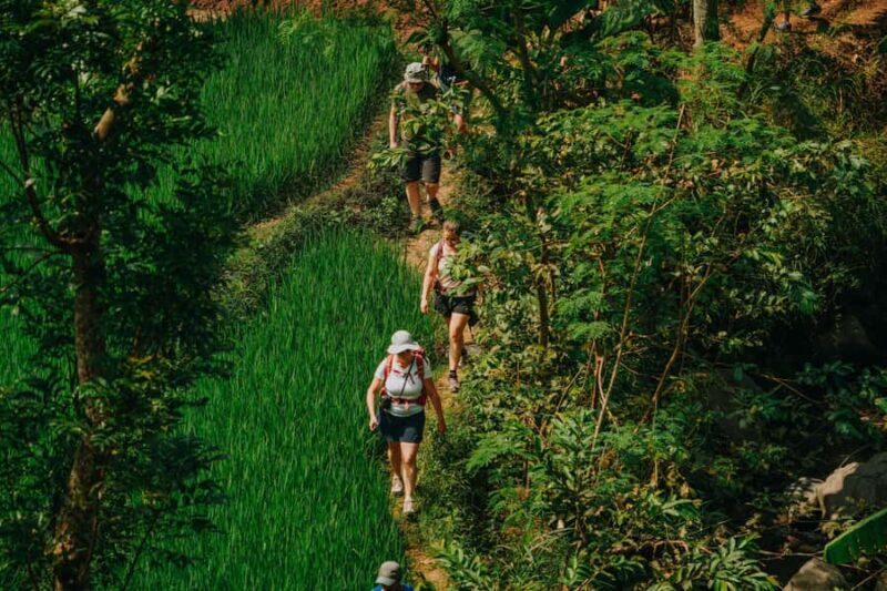 Yogyakarta: Merapi Sunrise Jeep and Trek with Lunch - The Authentic Charm of the Countryside