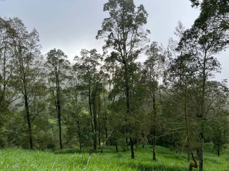 Yogyakarta: Merapi Volcano Trek with Transfer - Final Thoughts