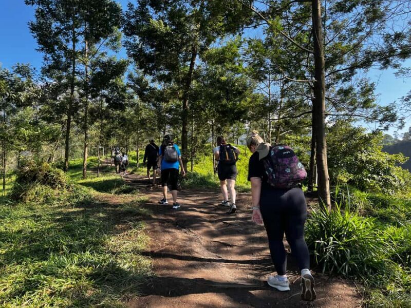 Yogyakarta: Mount Merapi National Park Trek with Pickup - The Value of This Tour