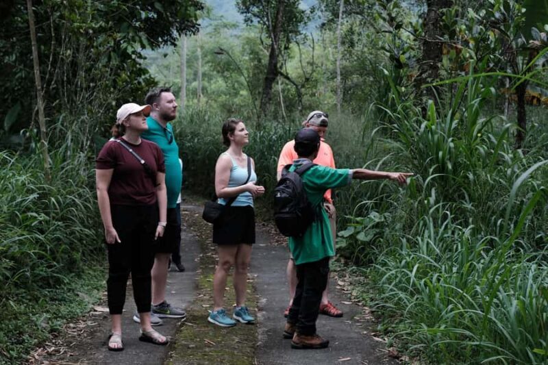 Yogyakarta : Mount Merapi Soft Trek and Botanic Village Tour - What Makes This Tour Standout?