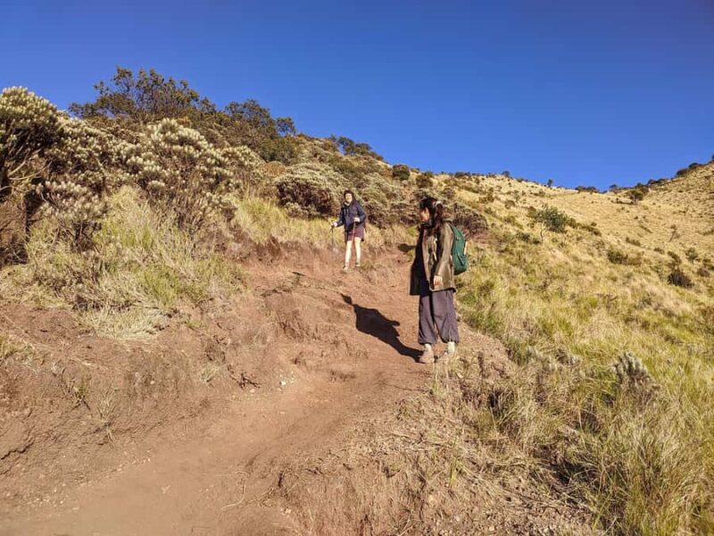 Yogyakarta: Mount Merbabu Shared Guided Tour All Inclusive - Frequently Asked Questions