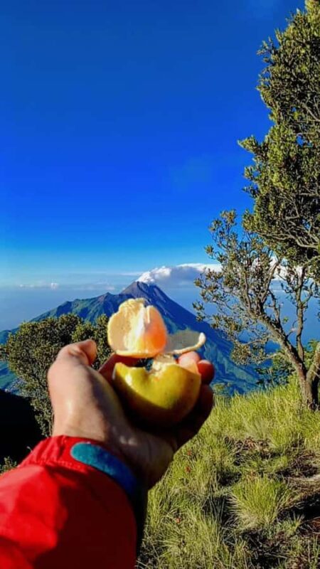 Yogyakarta: Mt Merbabu Guided Hike with Breakfast & Lunch - Final Thoughts
