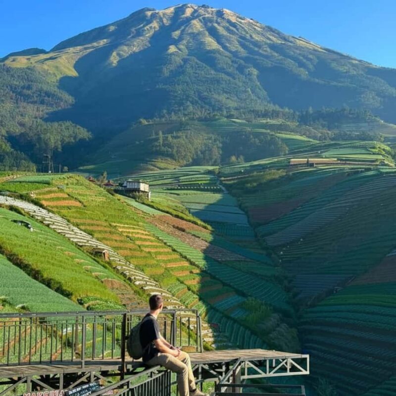 Yogyakarta: Nepal Van Java & Vegetable Village Tour - Authentic Experiences and Visitor Feedback