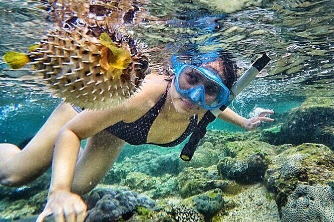 Yogyakarta Nglambor Beach Snorkeling Tour with Private Transport - The Experience Breakdown
