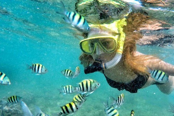 Yogyakarta Nglambor Beach Snorkeling Tour with Private Transport - The Sum Up