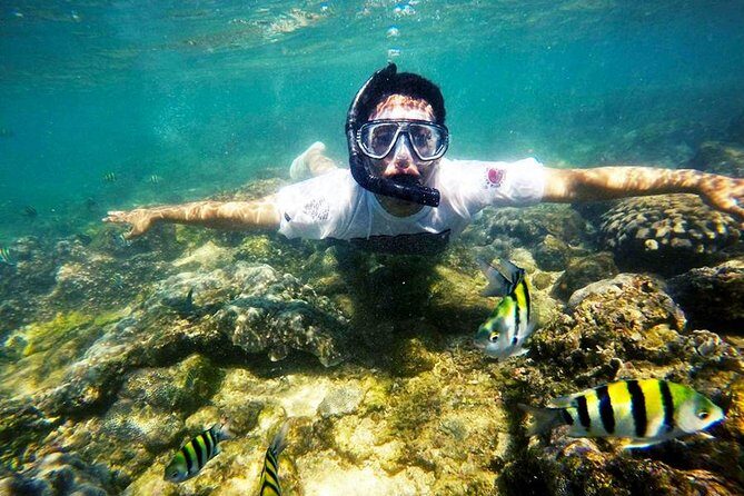 Yogyakarta Nglambor Beach Snorkeling Tour with Private Transport - Frequently Asked Questions