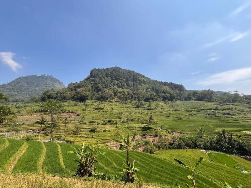 Yogyakarta: Rice Terrace Trek All Inclusive Guided Tour - What Makes This Tour a Great Value