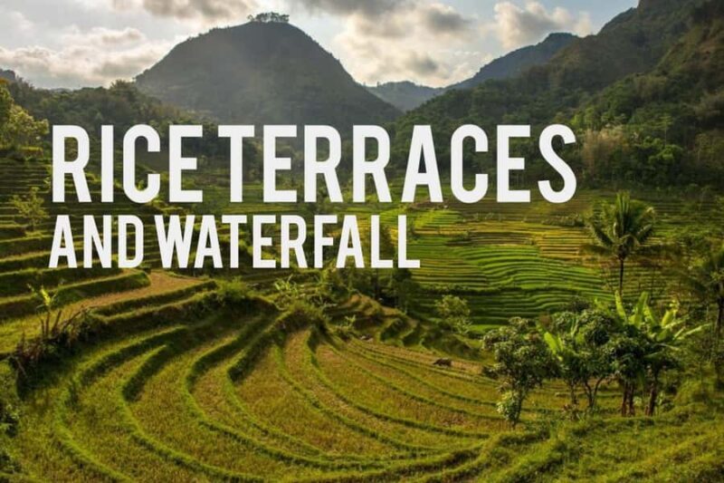 Yogyakarta Rice Terraces Hike and Kedungkayang Waterfall - Key Points