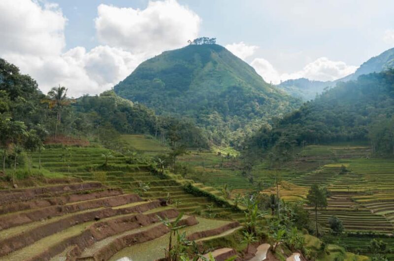 yogyakarta: Selogriyo, Marvel Amidst Java's Lush Terraces - An Authentic Journey: What You Can Expect