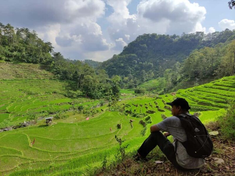 yogyakarta: Selogriyo, Marvel Amidst Java's Lush Terraces - The Sum Up