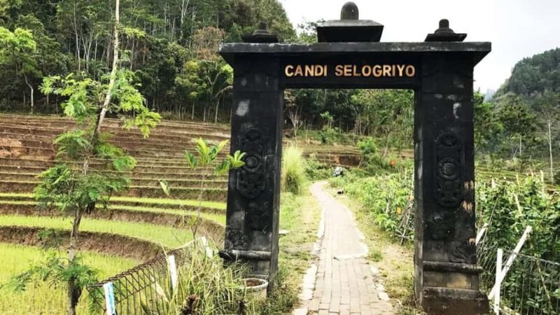 Yogyakarta: Selogriyo Temple and Rice Terrace Soft Trekking - Who Will Love This Experience?
