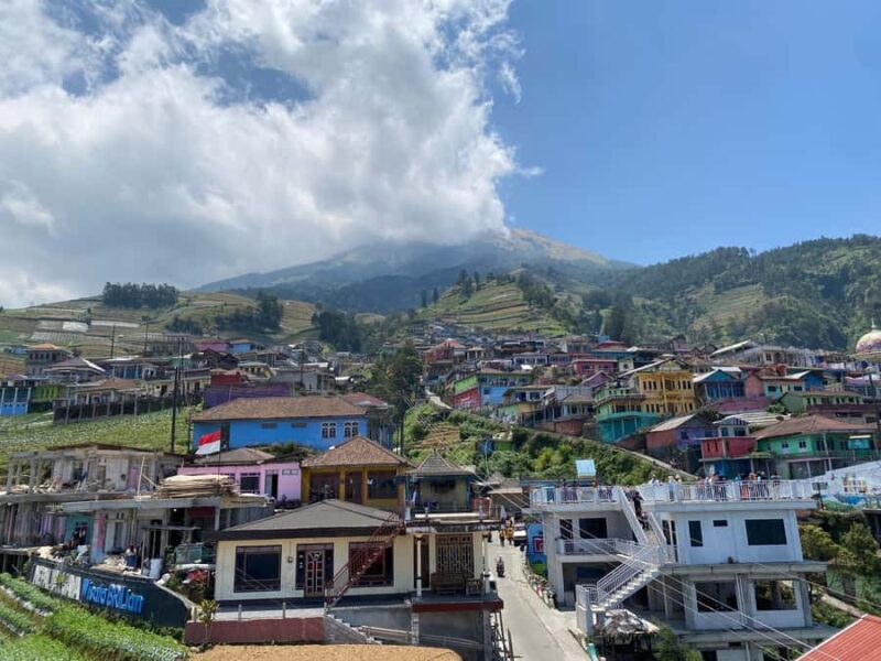 Yogyakarta :selogriyo temple, rice field trek& nepalvan java - The Journey Begins: From Yogyakarta to Nepalvan Java’s Vegetable Hills