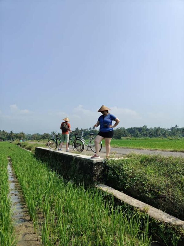 Yogyakarta: Tailor-Made Private Car Rental With Driver - The Sum Up