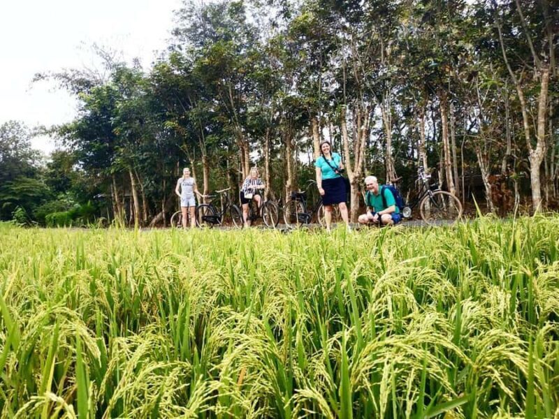 Yogyakarta: Traditional Village Bicycle Tour with Transfer - What Makes This Tour Stand Out?