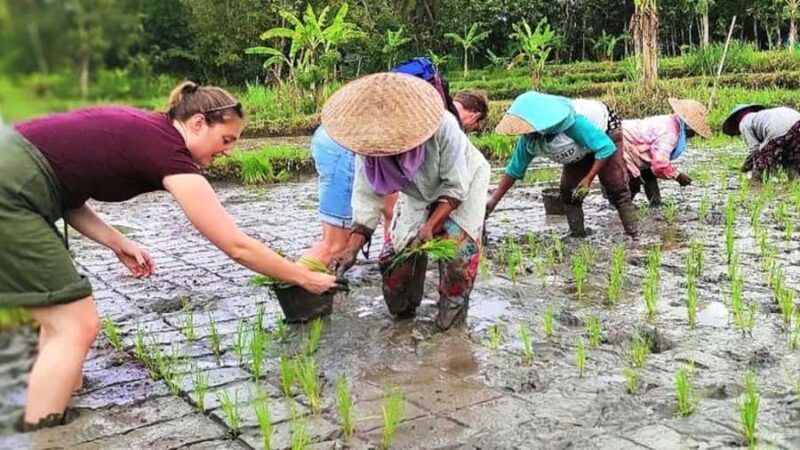 Yogyakarta: Village Cycling Tour with Classic Bicycle - What Travelers Say
