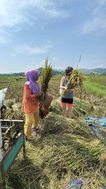 Yogyakarta: Village Cycling Tour with Local Snacks - Introduction